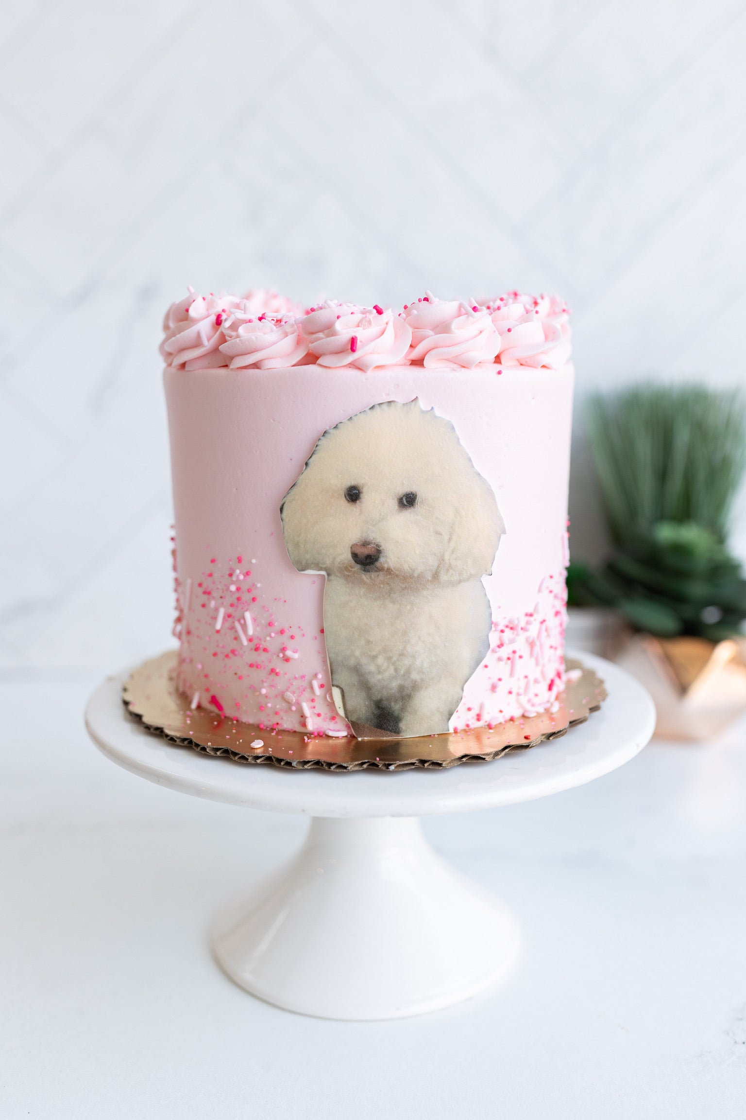Sugar Sheet Cake | Hapa Bakery