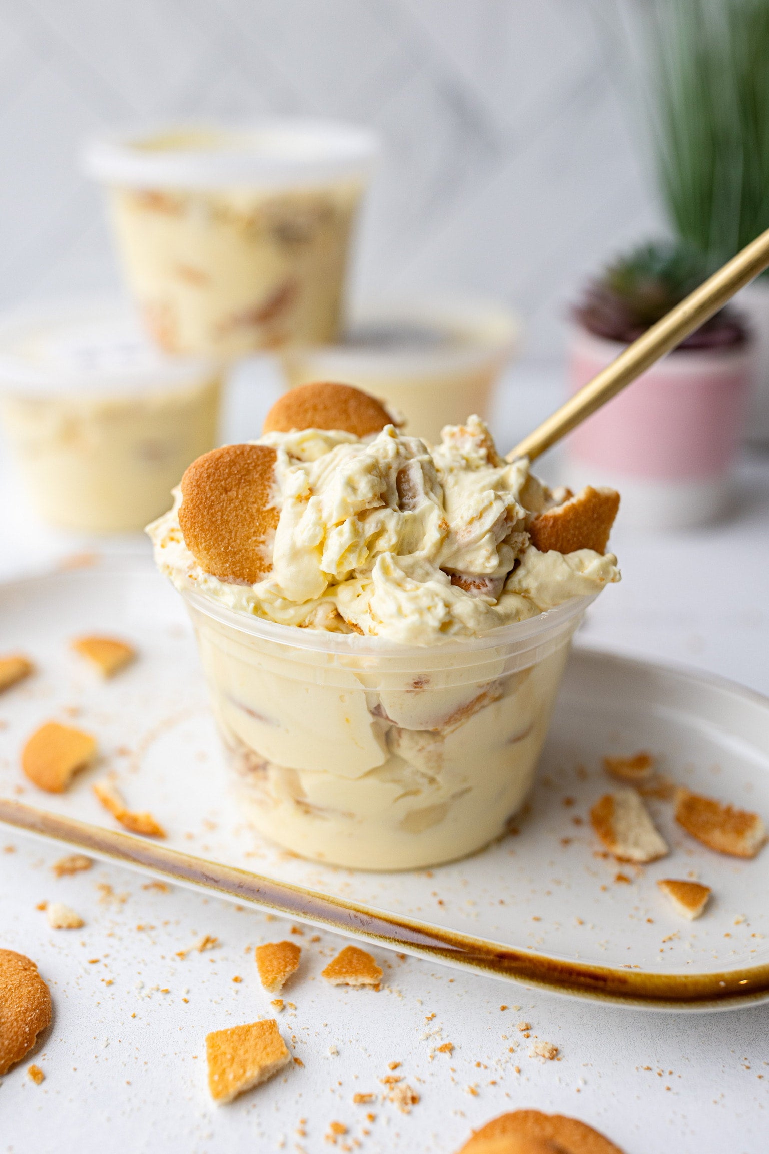 Our *FAMOUS* Pudding- NEW flavors available! | Hapa Bakery