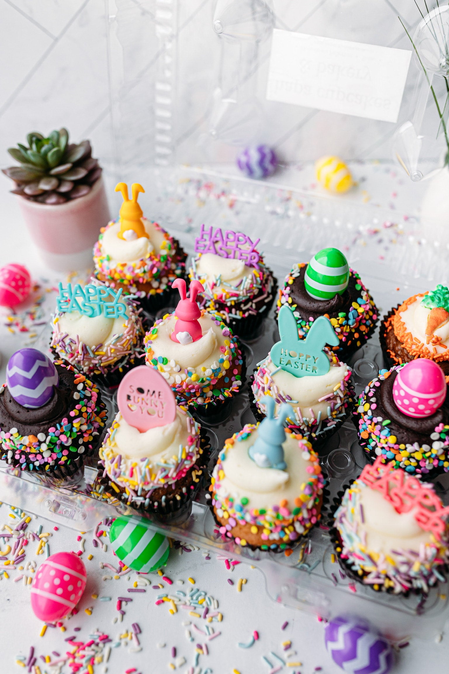 HOPPY Easter Cupcake Box | Hapa Bakery