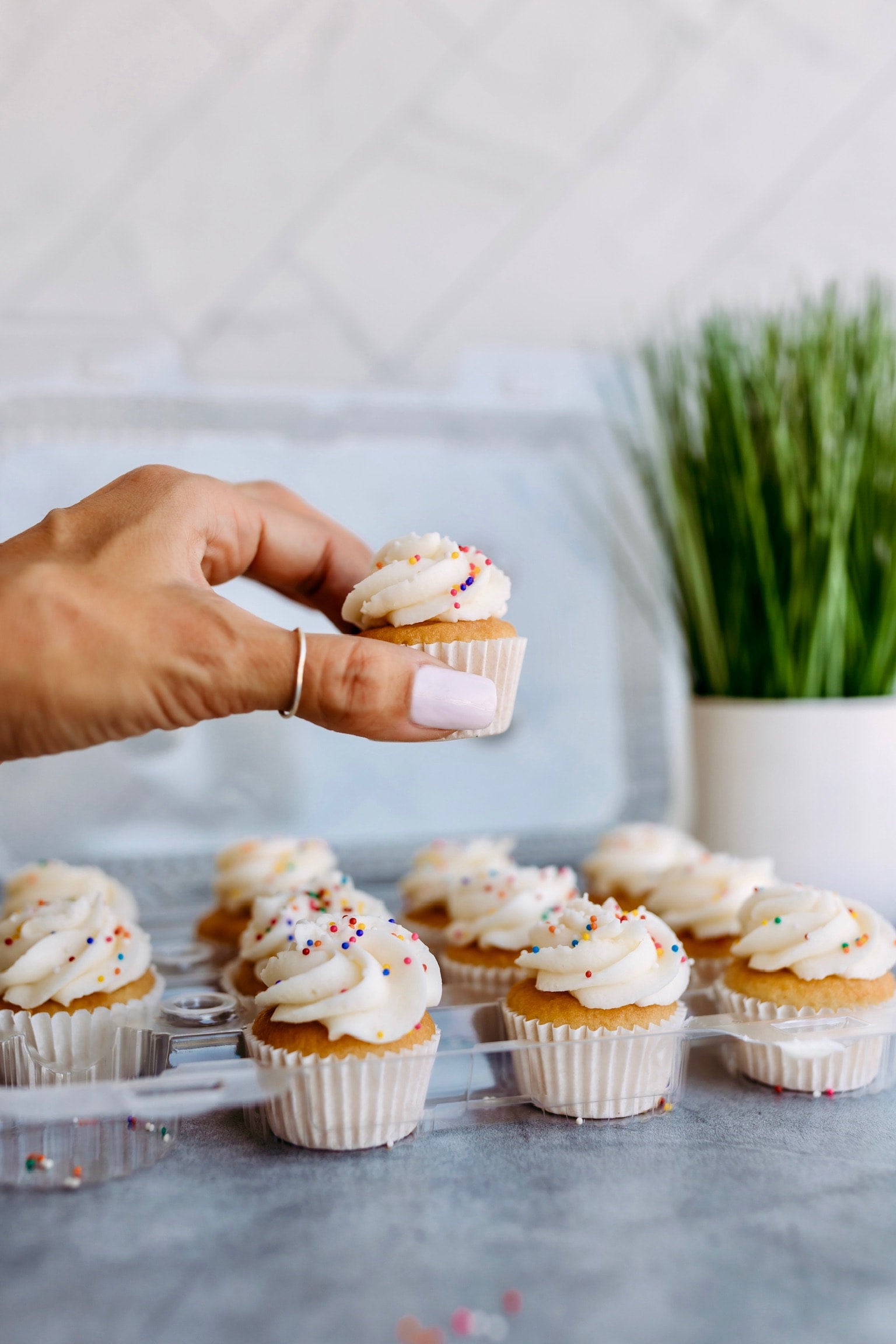 Garota Cupcake Cupcakes — New Bread