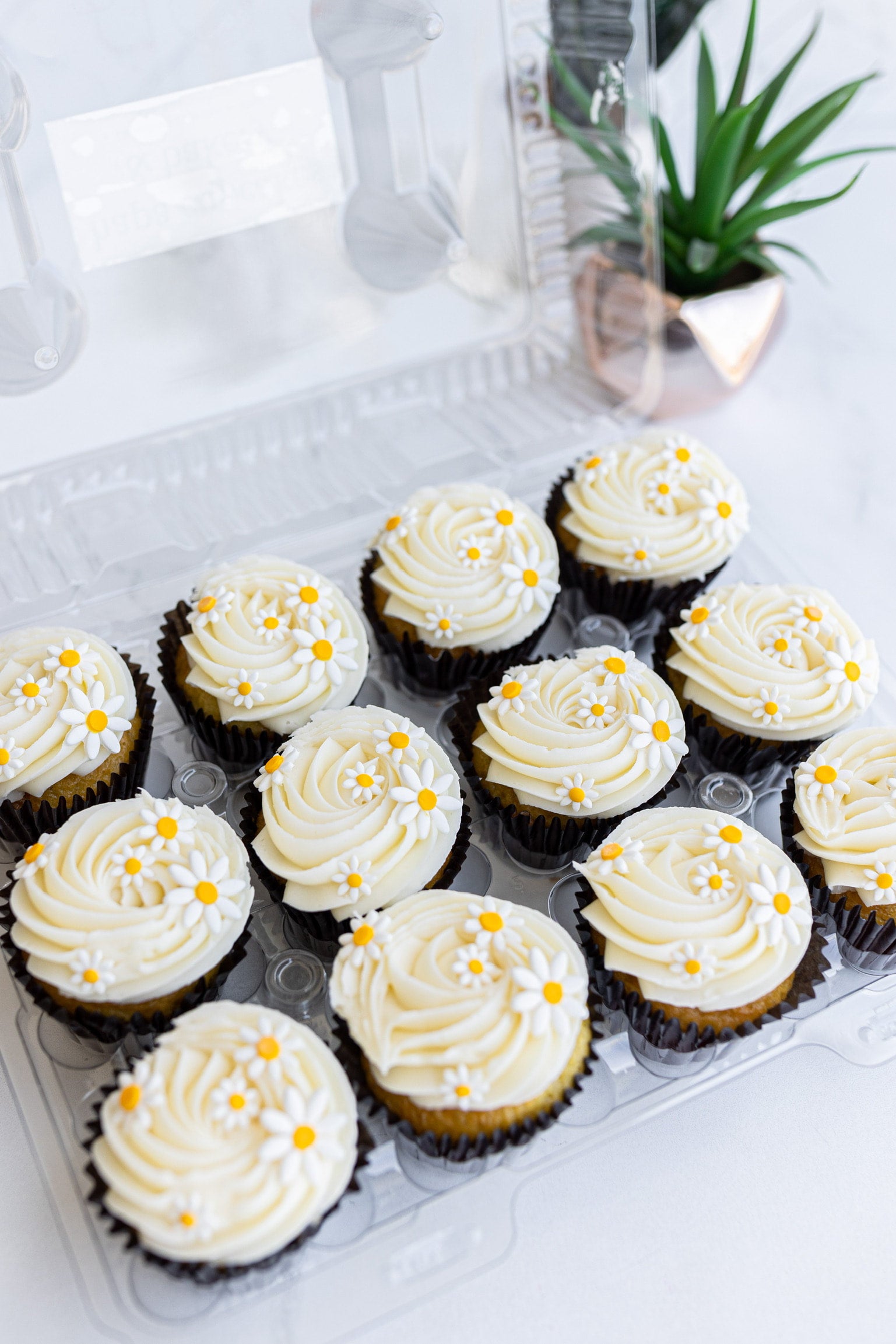 Daisy Cupcakes | Hapa Bakery