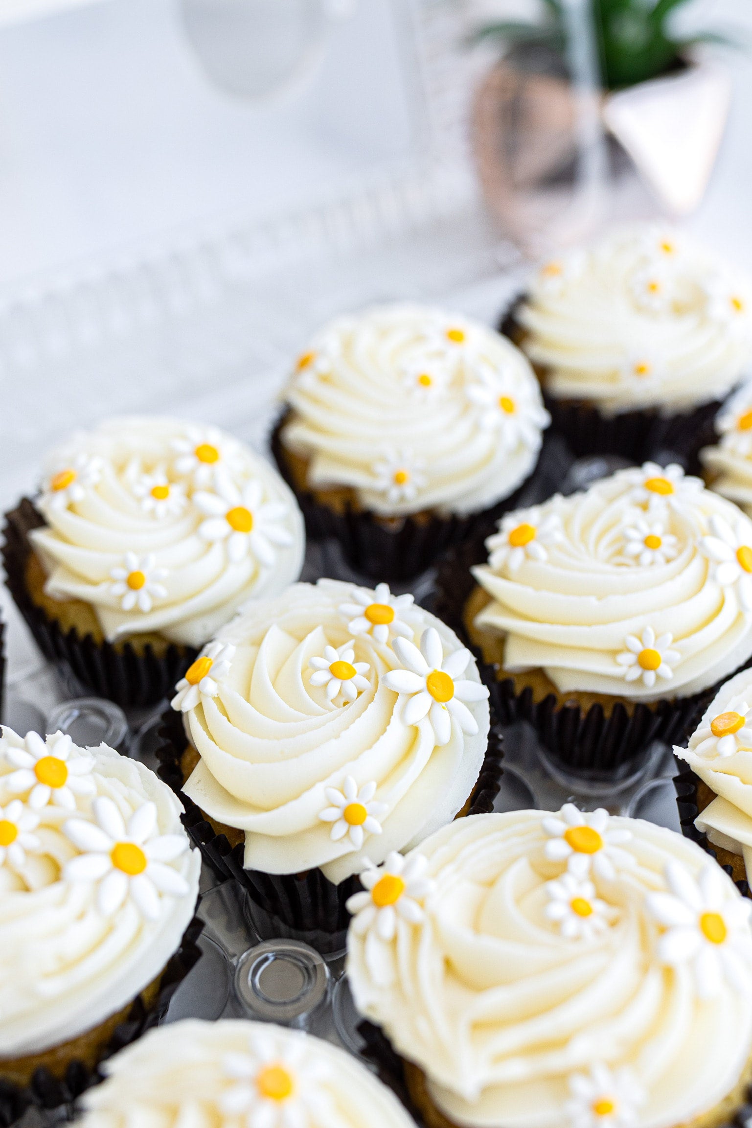 Daisy Cupcakes | Hapa Bakery